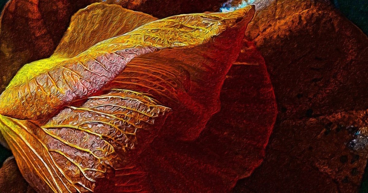 The American Society of Cinematographers | Ron Garcia, ASC Opens…