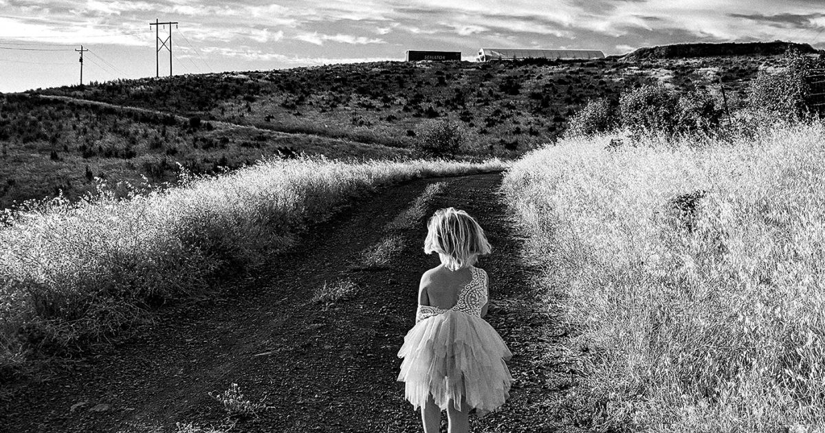 The American Society of Cinematographers | Sean Porter, ASC