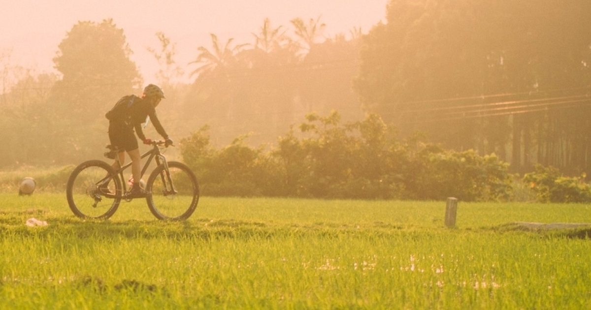 The American Society of Cinematographers | Blood Road: Emotional…