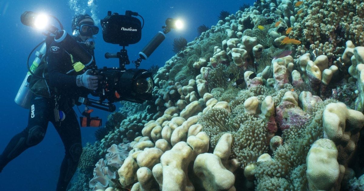 The American Society of Cinematographers | The Secrets of Secrets of…