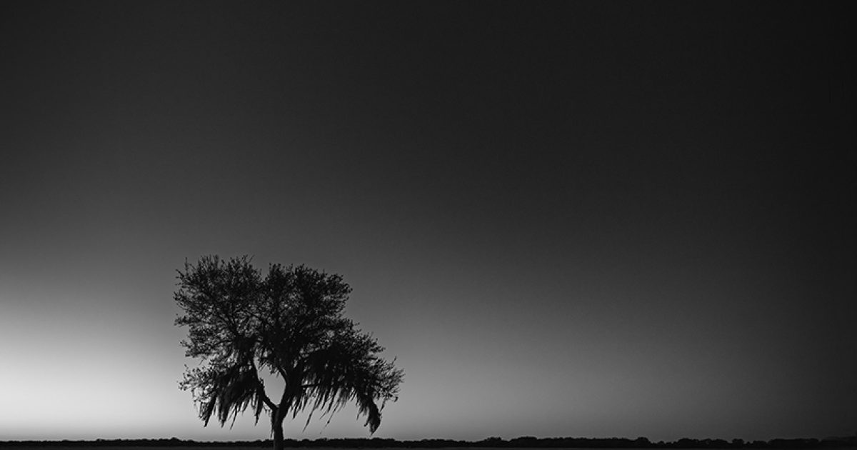 The American Society of Cinematographers | James Neihouse, ASC